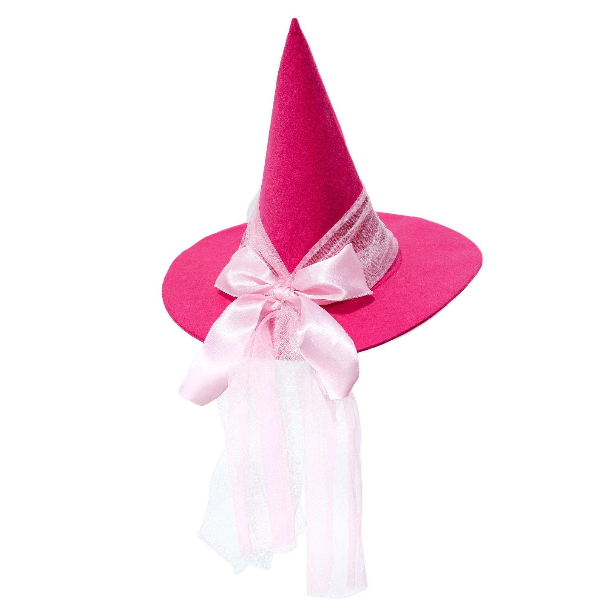 The “Official Good Witch of Salem” Adult Pink Witch Hat – The Good ...
